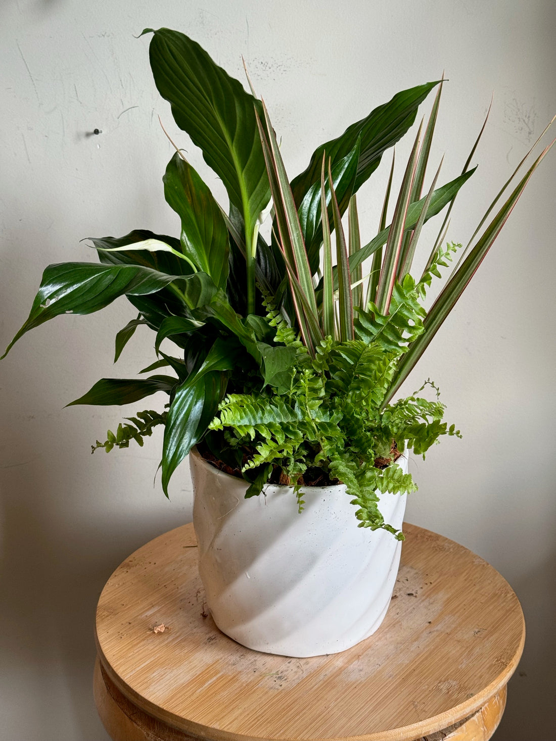 Small Sympathy Planter – Elora St. Flowers