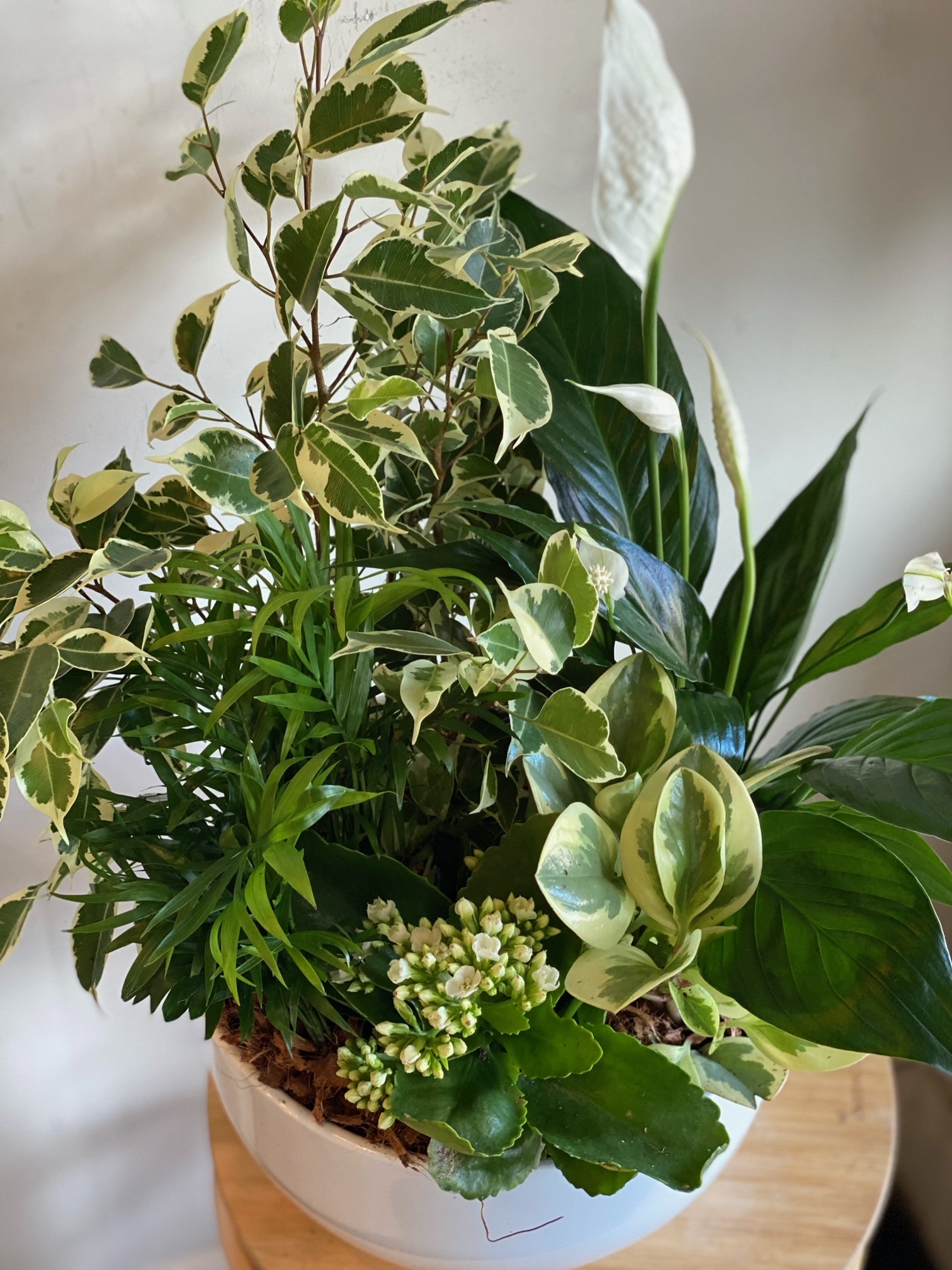 Extra Large Mixed Sympathy Planter – Elora St. Flowers